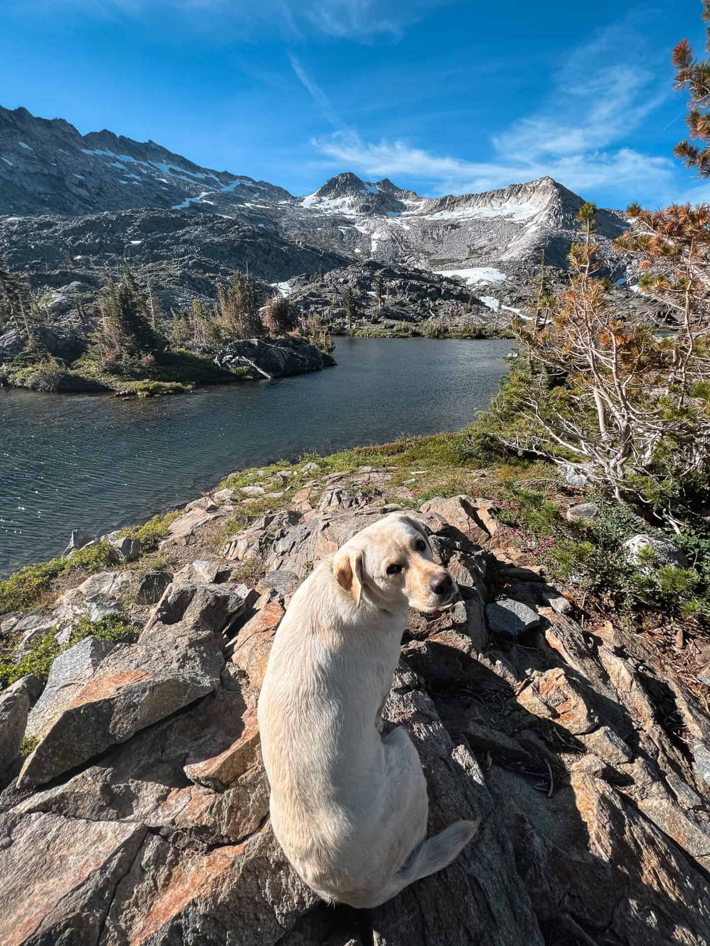 Backpack to Island Lake in Desolation Wilderness, CA
