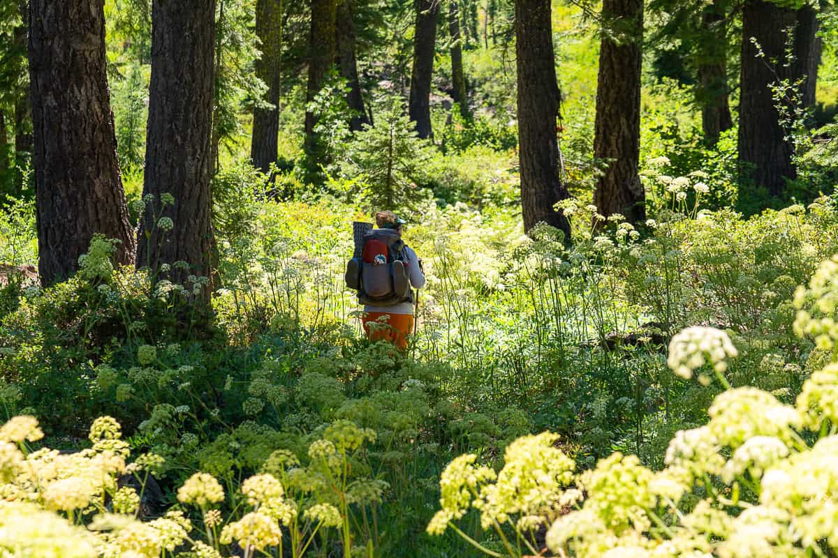 Backpack the 4 Lakes Loop via Swift Creek: Trinity Alps Wilderness