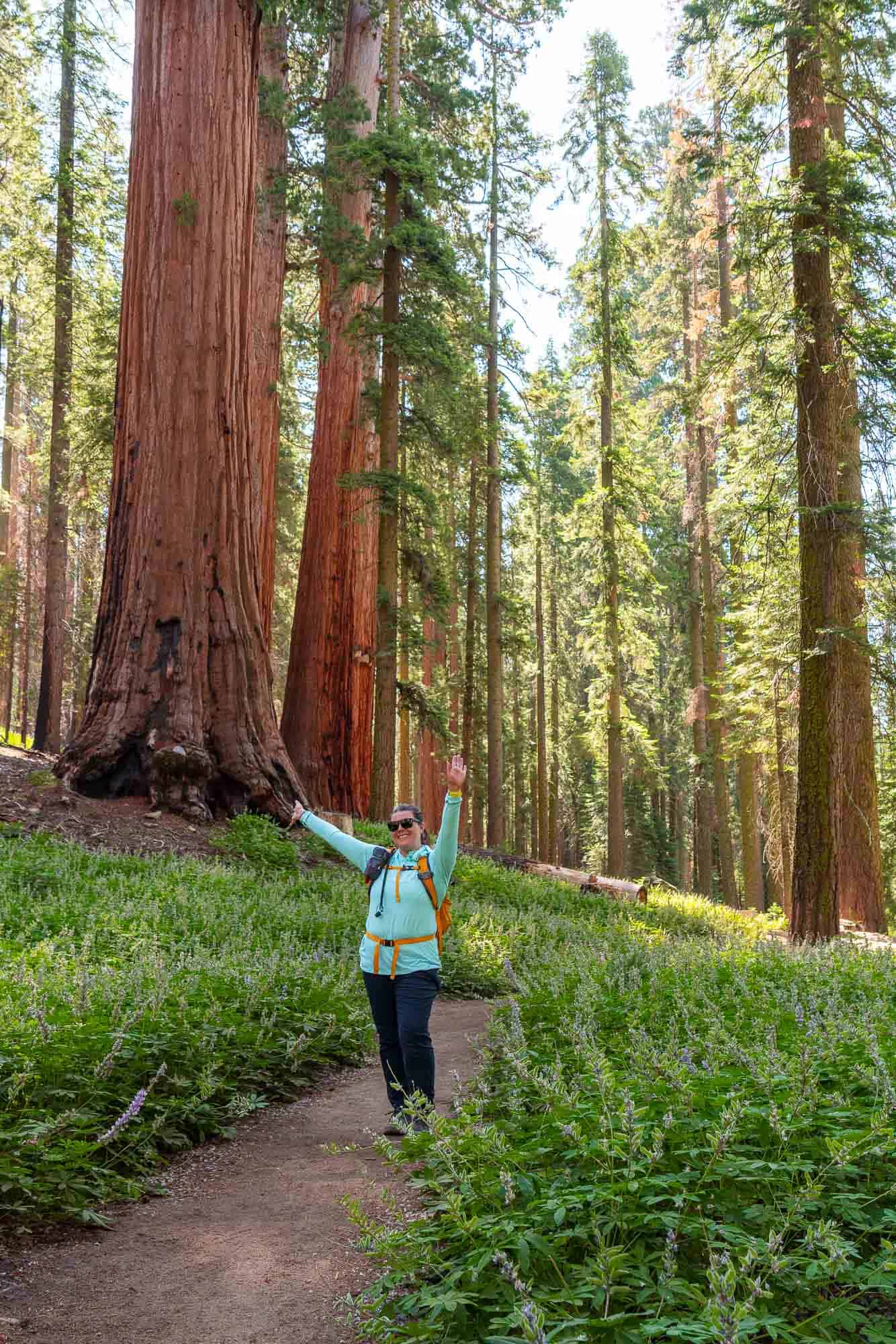 How To Visit Sequoia National Park: A First-Timer’s Guide