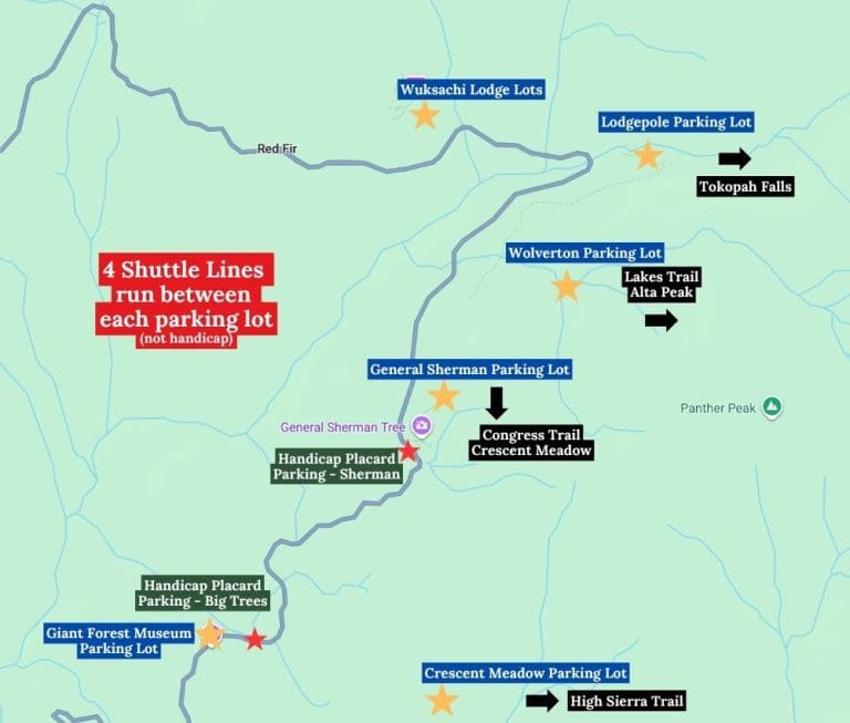 How To Visit Sequoia National Park: A First-Timer’s Guide